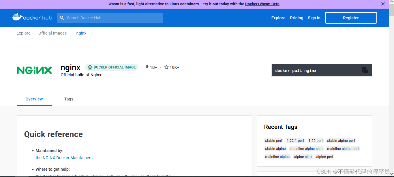 Docker安装Nginx_docker 安装nginx1.22-CSDN博客