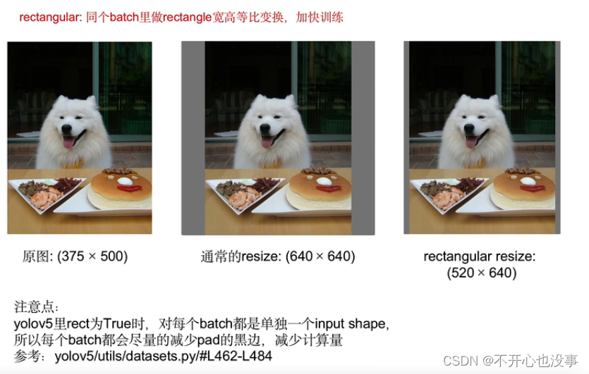 Yolov5解读,训练,复现yolov5复现 Csdn博客