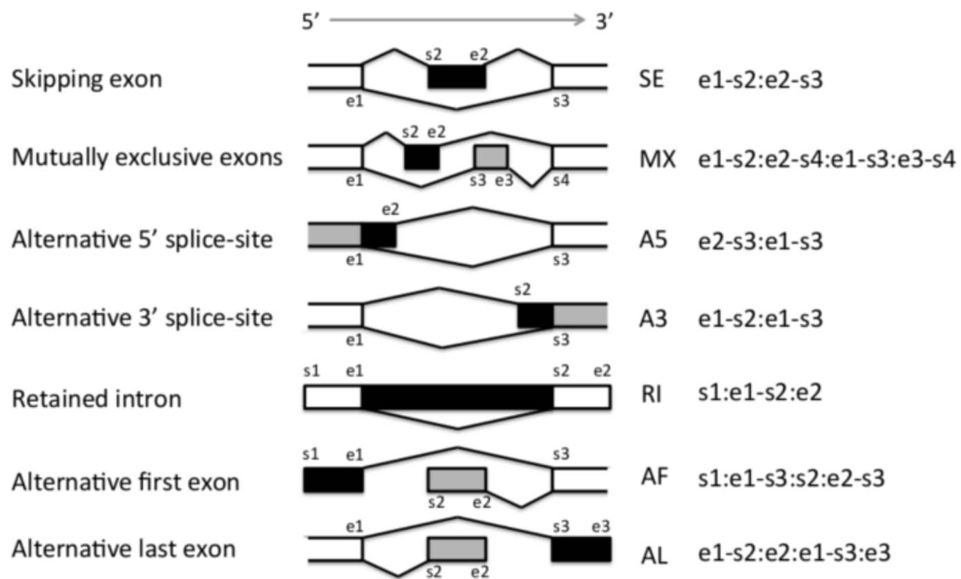 可变剪接分析流程（rMATS）-CSDN博客