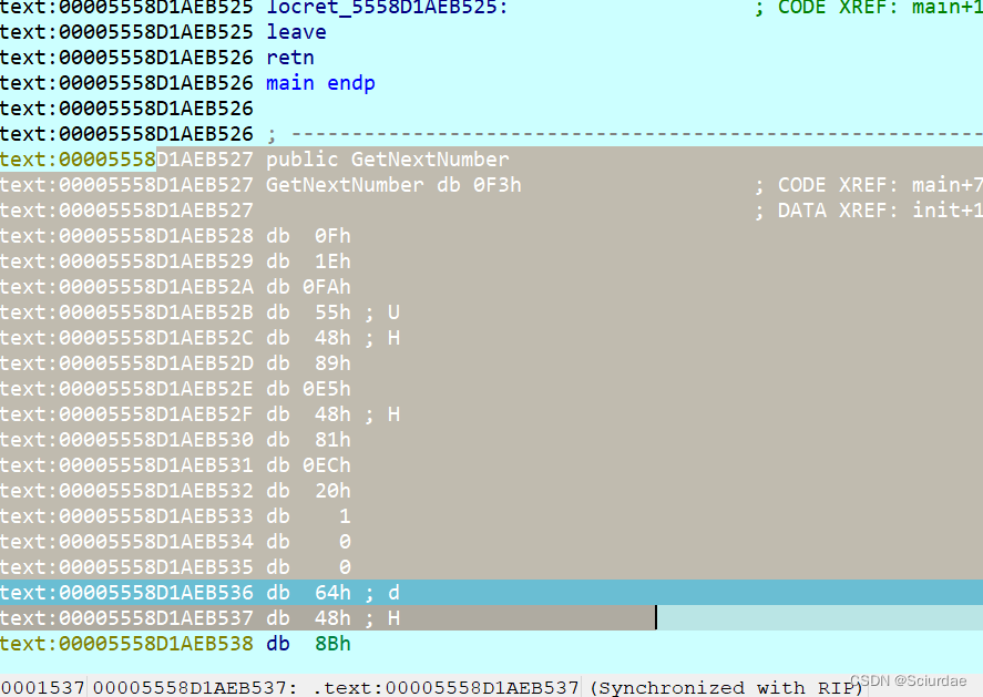 2023年SWPU NSS 秋季招新赛 CTF Reverse‘方向WP详解_[swpuctf 2023 秋季新生赛]junk code-CSDN博客