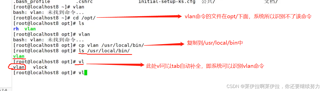 linux命令rm， mv，rename，which，find，whereis，locate，命令执行优先级_linux通过关键字处理文件优先级-CSDN博客