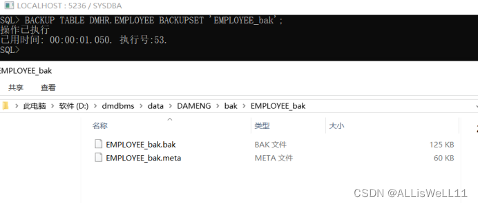 Disql工具联机备份备份数据库、表空间、表和归档backup Database Backupset Csdn博客