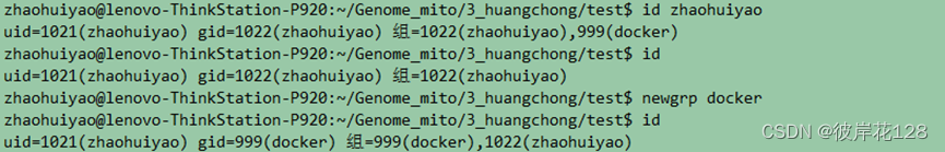 singularity和docker的安装使用_singularity安装-CSDN博客