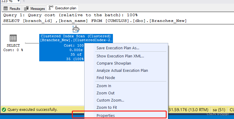SQL Server Management Studio上的图形化SQL执行计划_mssm和ssms-CSDN博客