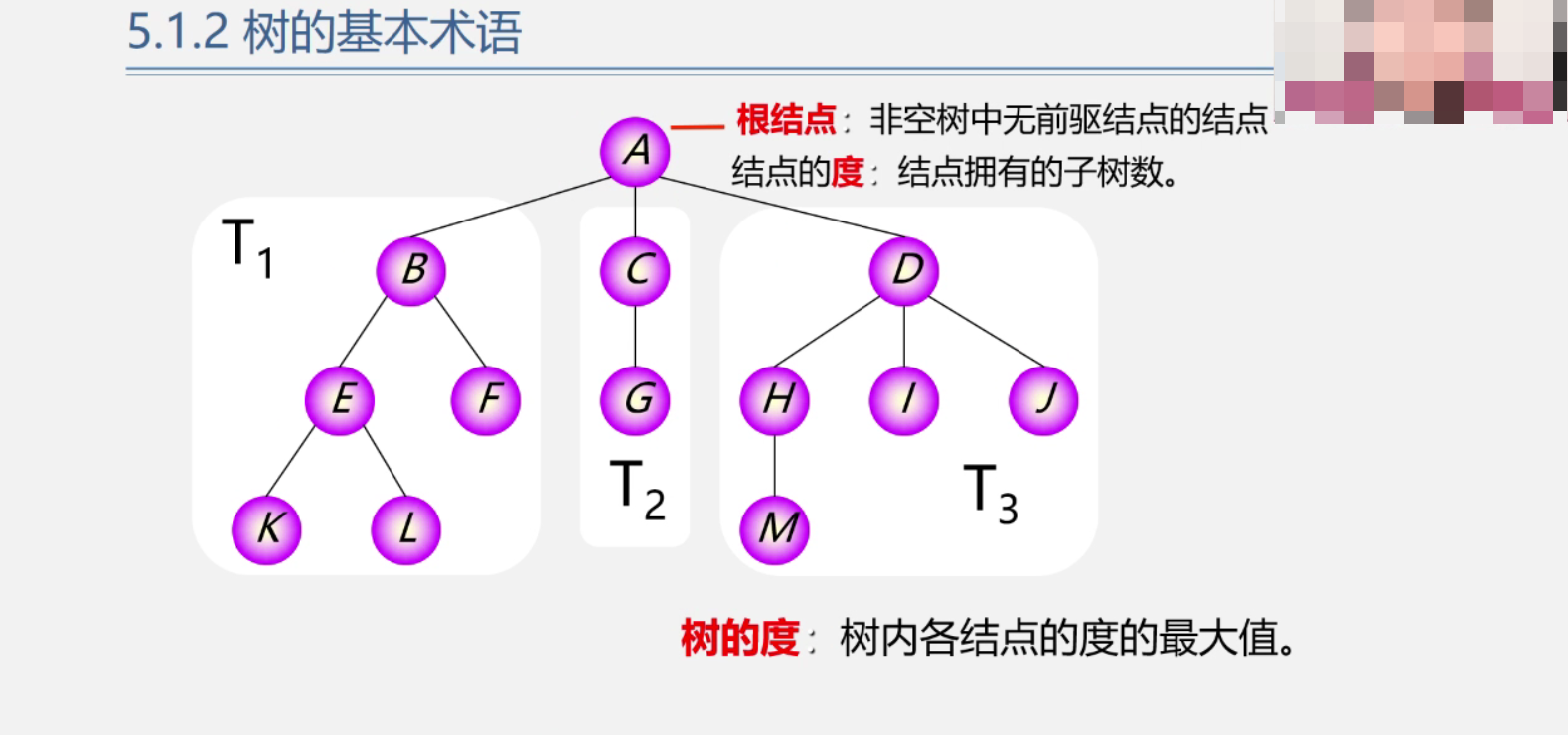 Basic terms for trees - Programmer Sought