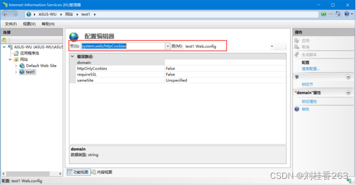 如何将cookie中httponly属性设置为true？（预防XSS攻击）-CSDN博客