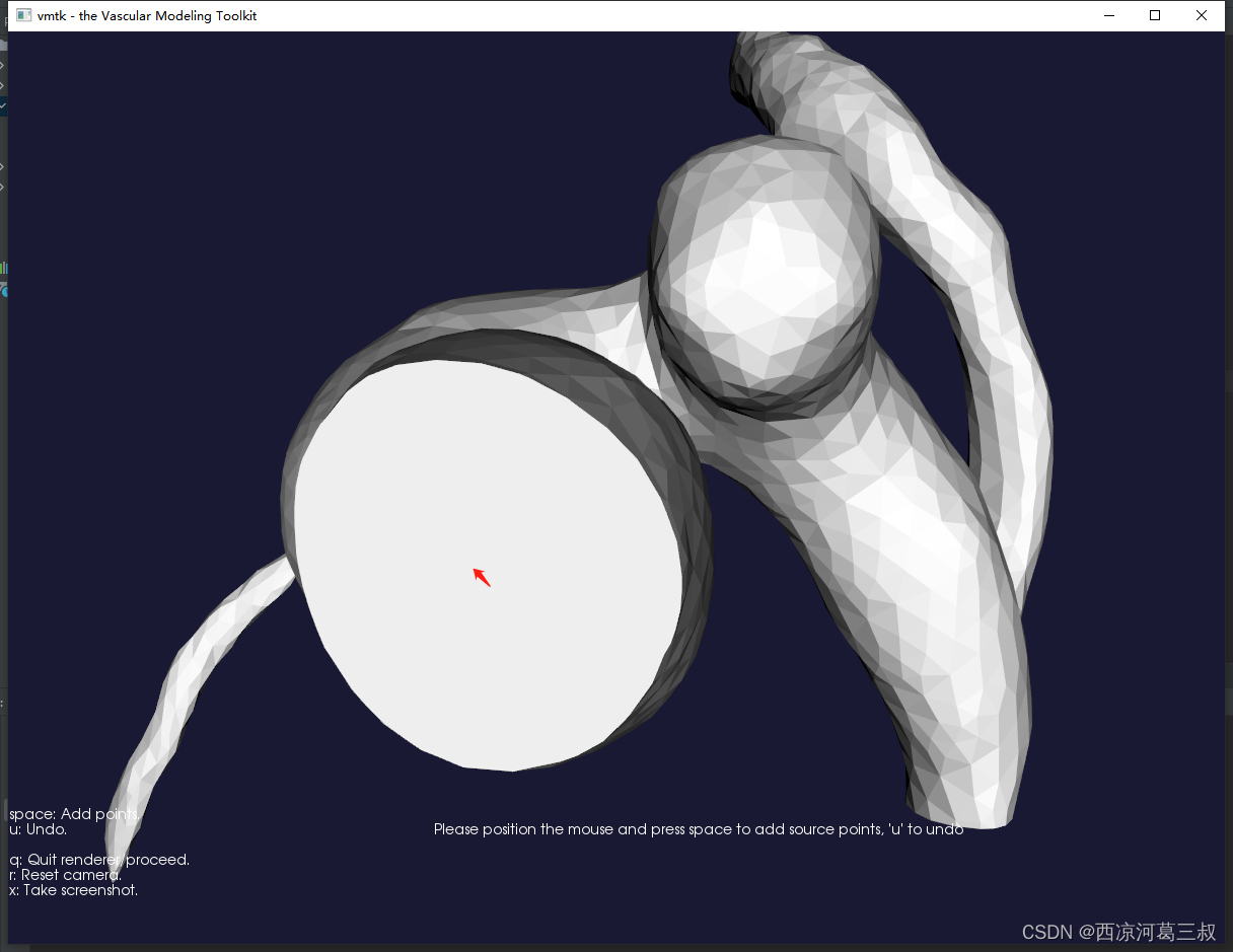 python & vmtk 提取血管中心线_python vmtk 血管中心线-CSDN博客