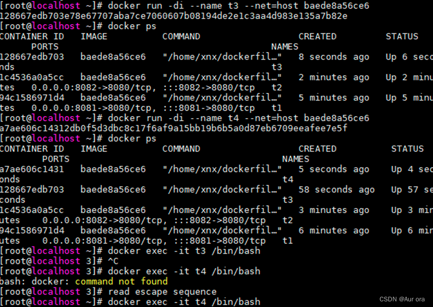 Docker之网络配置 Docker Run Network Host Csdn博客