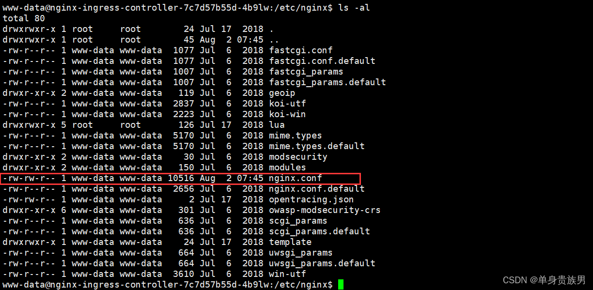 k8s--基础--29.2--ingress--安装Ingress Controller和配置Ingress_ingress controller配置-CSDN博客