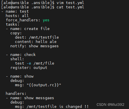 Anisble中的任务执行控制-CSDN博客