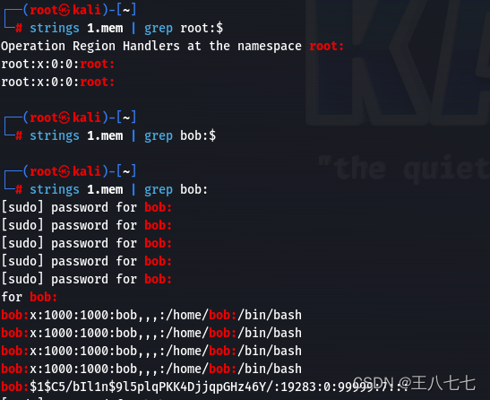 [祥云杯 2022]strange_forensics writeup by 王八七七_forensicsmaster-CSDN博客