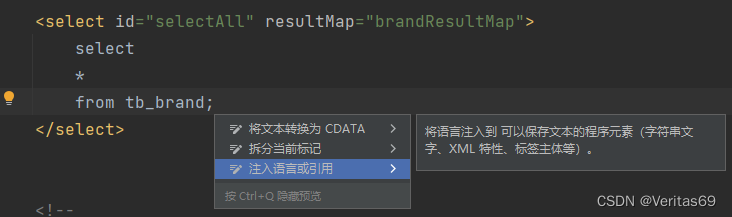 Idea在＜select＞＜select＞中写sql语句无提示解决idea写sql无提示 Csdn博客