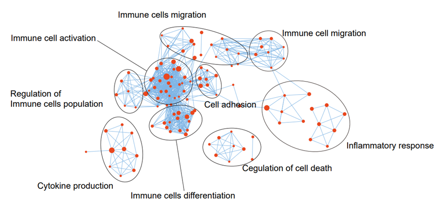 KEGG，GO term功能网络，富集网络，功能网络绘制，R语言，Cytoscape-CSDN博客