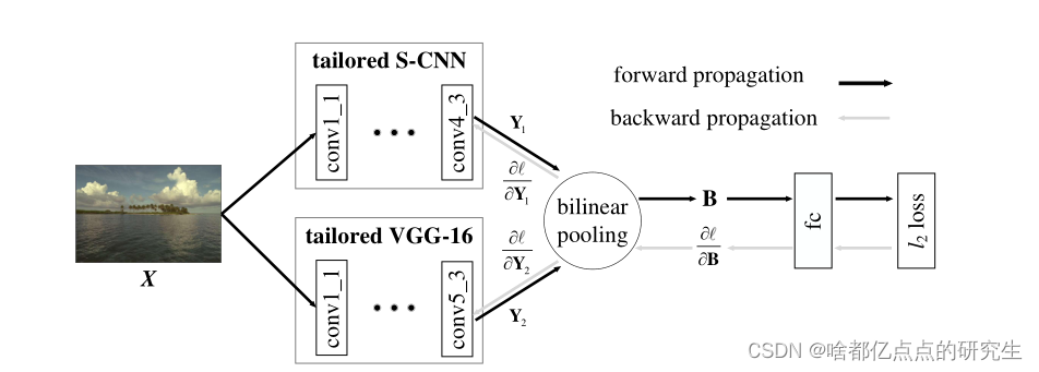 An experimental PyTorch implementation of Blind Image Quality Assessment Using A Deep Bilinear ...
