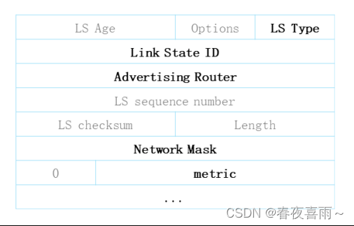 OSPF→_ospf mtu-CSDN博客