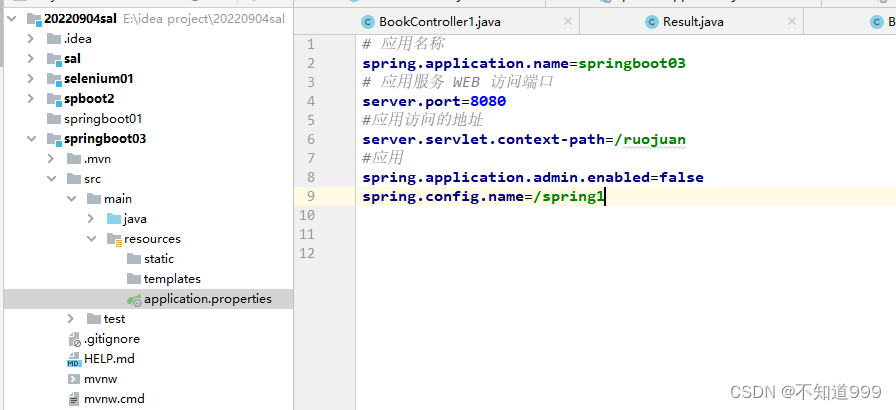 SpringBoot 入门_result.ok-CSDN博客