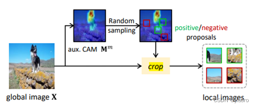 Token Contrast For Weakly Supervised Semantic Segmentation —— Cvpr2023 Csdn博客