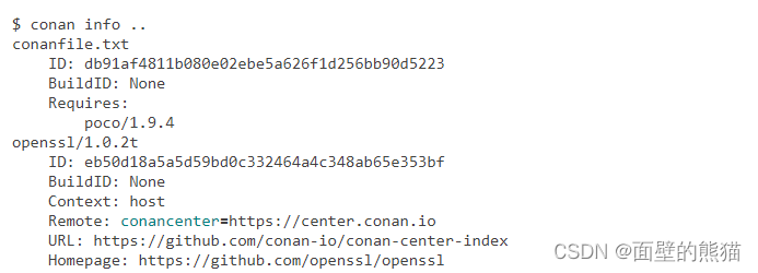 Conan基础知识_conan 工具-CSDN博客