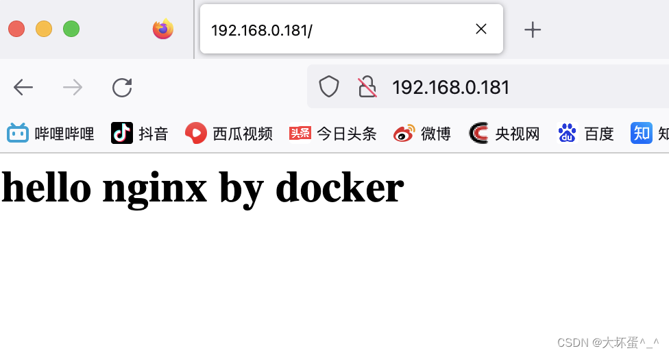 第06讲：Docker部署Nginx_docker中nginxlocal目录-CSDN博客