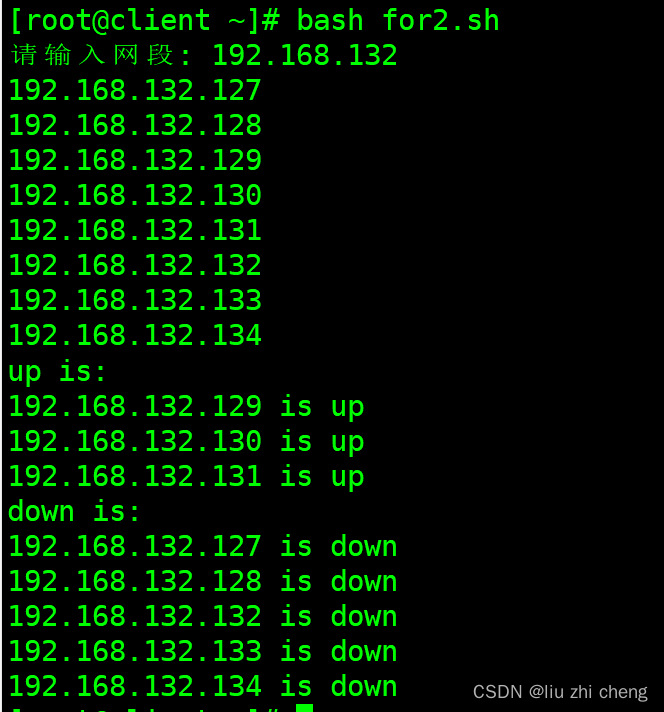 Shell脚本 For循环作业 Csdn博客 