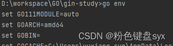 GoLand终端环境变量与系统不同步_goland terminal 变量不同-CSDN博客