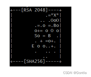 公钥指纹原理与应用（公钥加密）（SSH连接 信任第一次接触 Trust On First Use，TOFU）（HTTPS证书）碰撞攻击、预映像攻击、SHA-256-CSDN博客