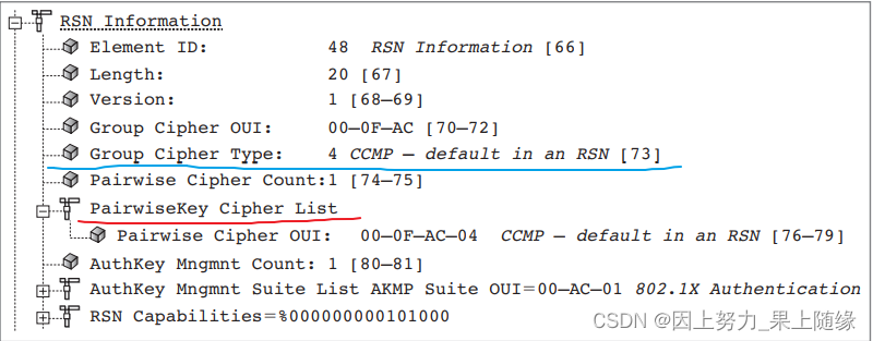 RSN Informatioon Element_rsn information-CSDN博客