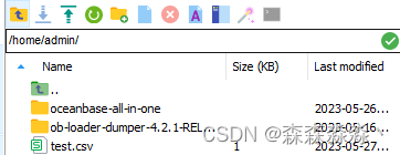 OceanBase4.1.0 社区版导入CSV文件测试_oceanbase导入csv数据-CSDN博客