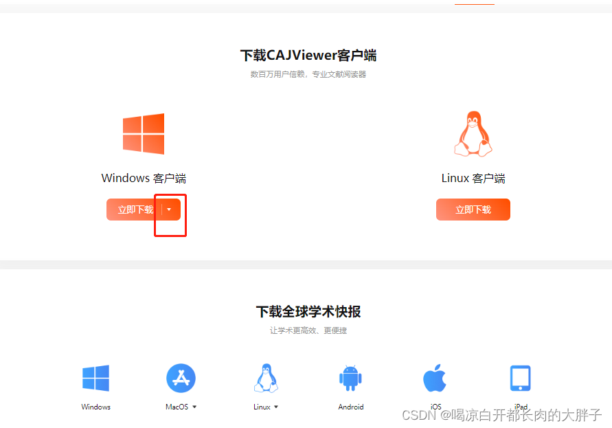 CAJViewer浏览器---任意版本下载_cajviewer哪个版本好用-CSDN博客