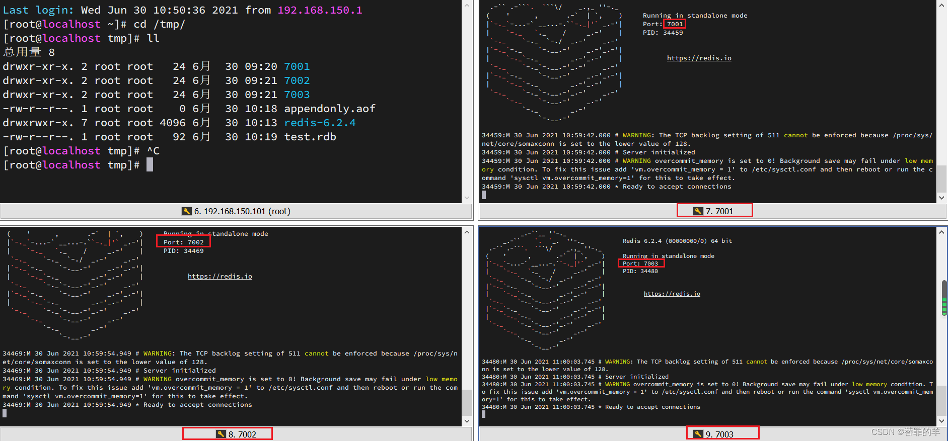 Redis-主从集群_redis集群主从配置-CSDN博客