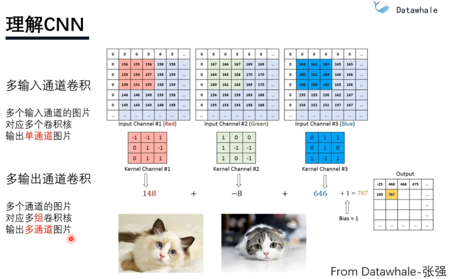 【深度学习】卷积神经网络CNN TextCNN_cnn网络中的batchsize-CSDN博客