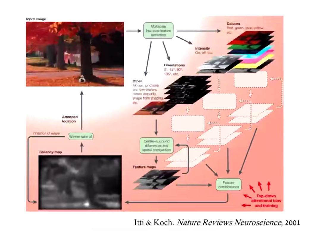 脑电实验设计的原理与实例-EEG Processing and Feature 4-CSDN博客