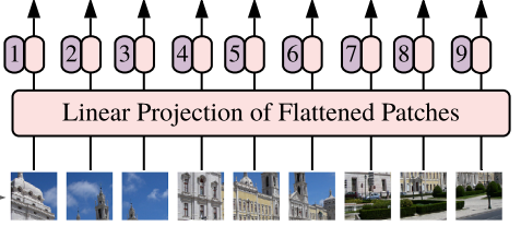 VisionTransformer（一）—— Embedding Patched与Word embedding及其实现_vit patch ...
