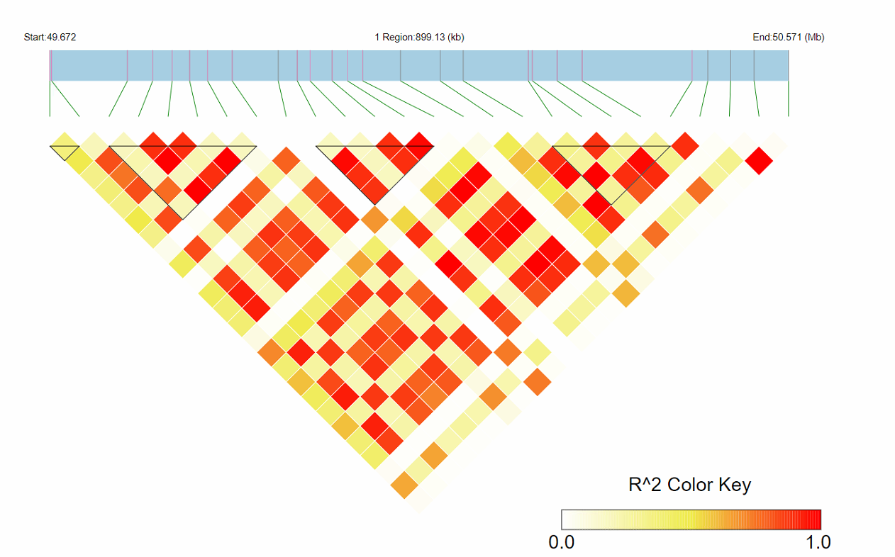 LDblock绘制连锁不平衡和单体型图_ldblockshow-CSDN博客