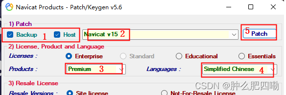 navicat未点Patch导致的Rsa Public Key Not Find问题-CSDN博客