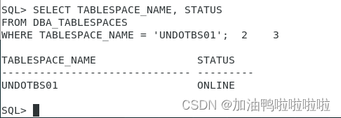 1:切换数据库的临时表空间为temp1/ 切换数据库的undo表空间为 undotbs01-CSDN博客