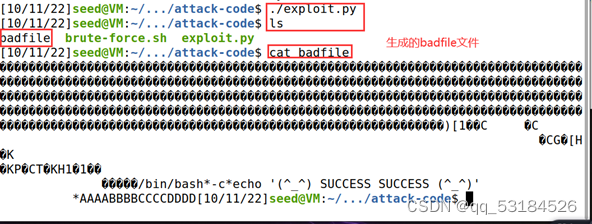 SEED-缓冲区溢出攻击_seed 缓冲区溢出-CSDN博客