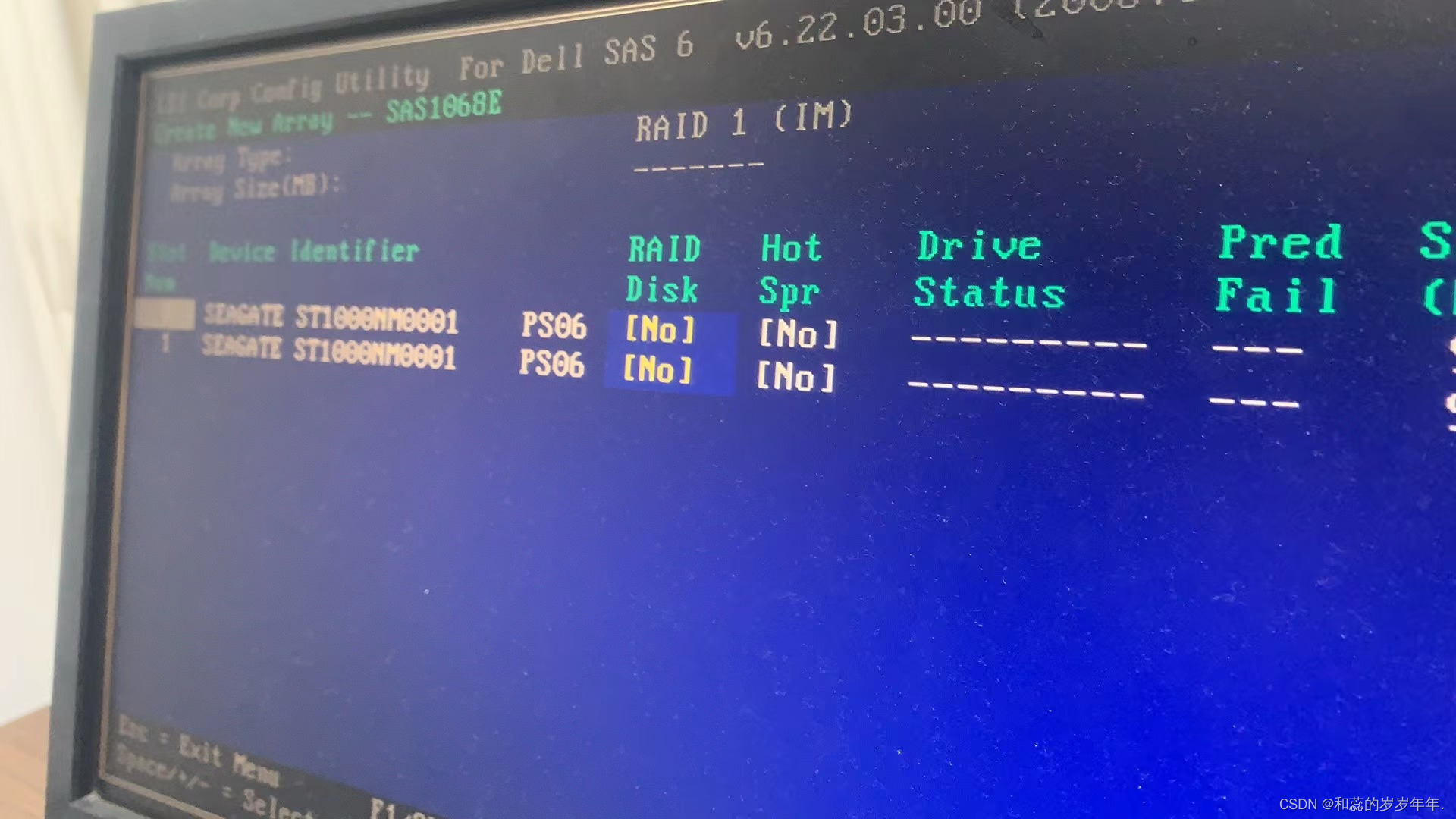 戴尔R710服务器配置raid阵列（附图文）_dellr710做raid-CSDN博客