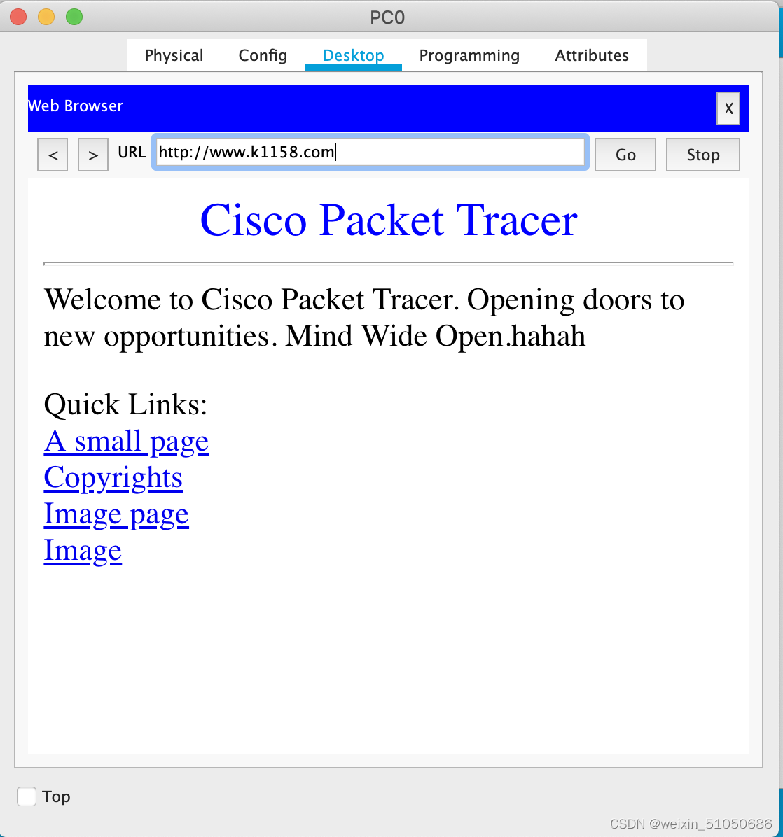 cisco仿真实验-----网络服务（web/dns/dhcp）_思科模拟器web服务器配置域名-CSDN博客