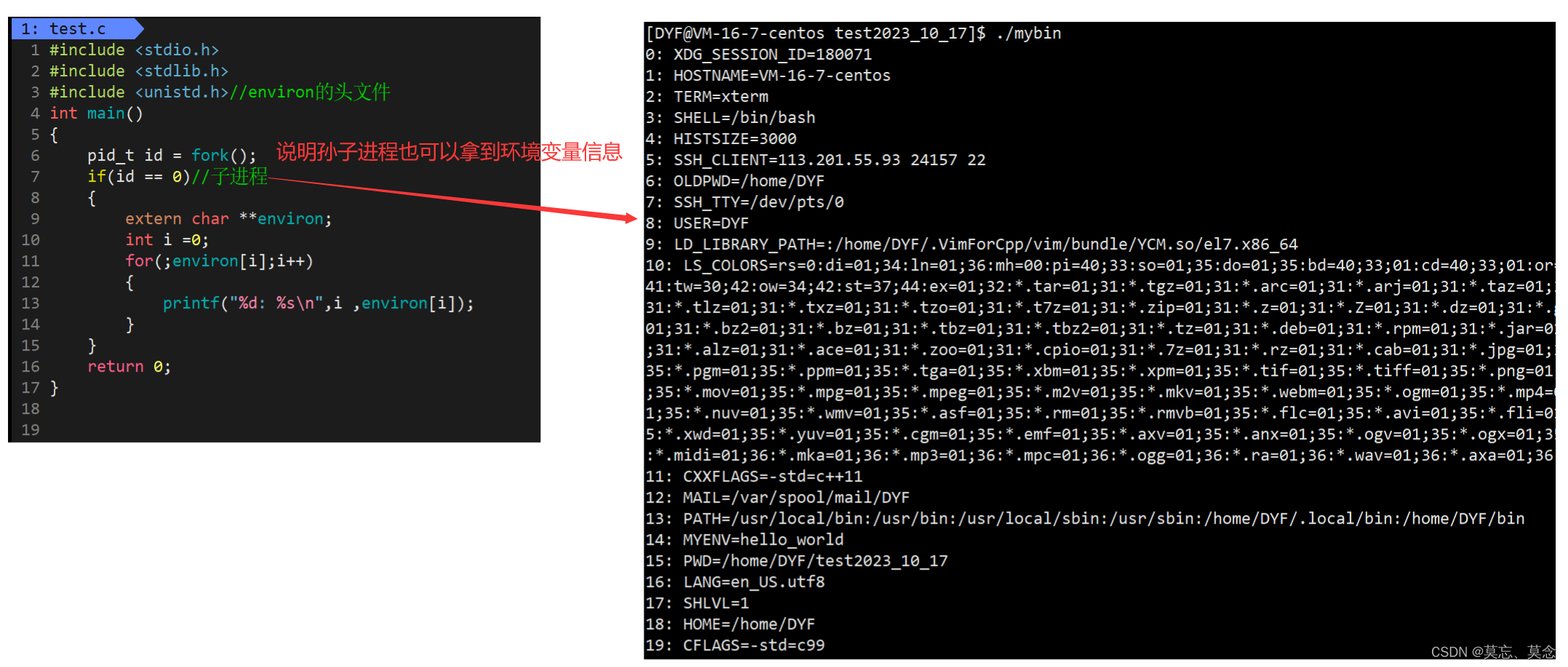 Linux寄存器+Linux2.6内核进程调度队列+命令行参数+环境变量-CSDN博客