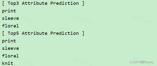 python基于onnx模型的推理代码_argsort onnx-CSDN博客