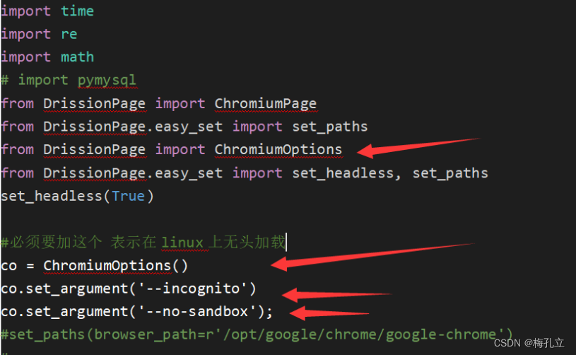 Python DrissionPage 爬虫 linux 部署说明 centos_drissionpage官网-CSDN博客