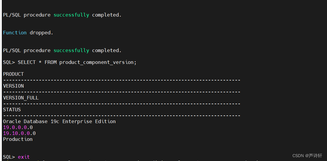 【oracle运维】oracle 19c 打补丁（p32218454）升级版本_oracle19c最新补丁-CSDN博客