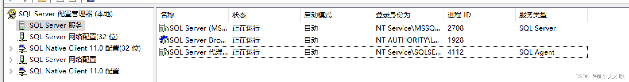 [28000][Microsoft][SQL server native client 10.0][SQL server]用户‘sa’登录失败 ...