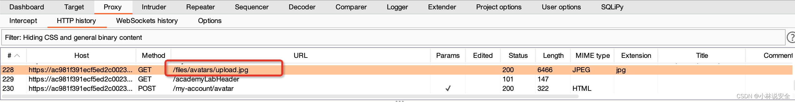 Burpsuite靶场——文件上传漏洞-CSDN博客