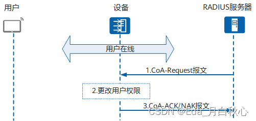 RADIUS CoA/DM功能简介_coa报文-CSDN博客