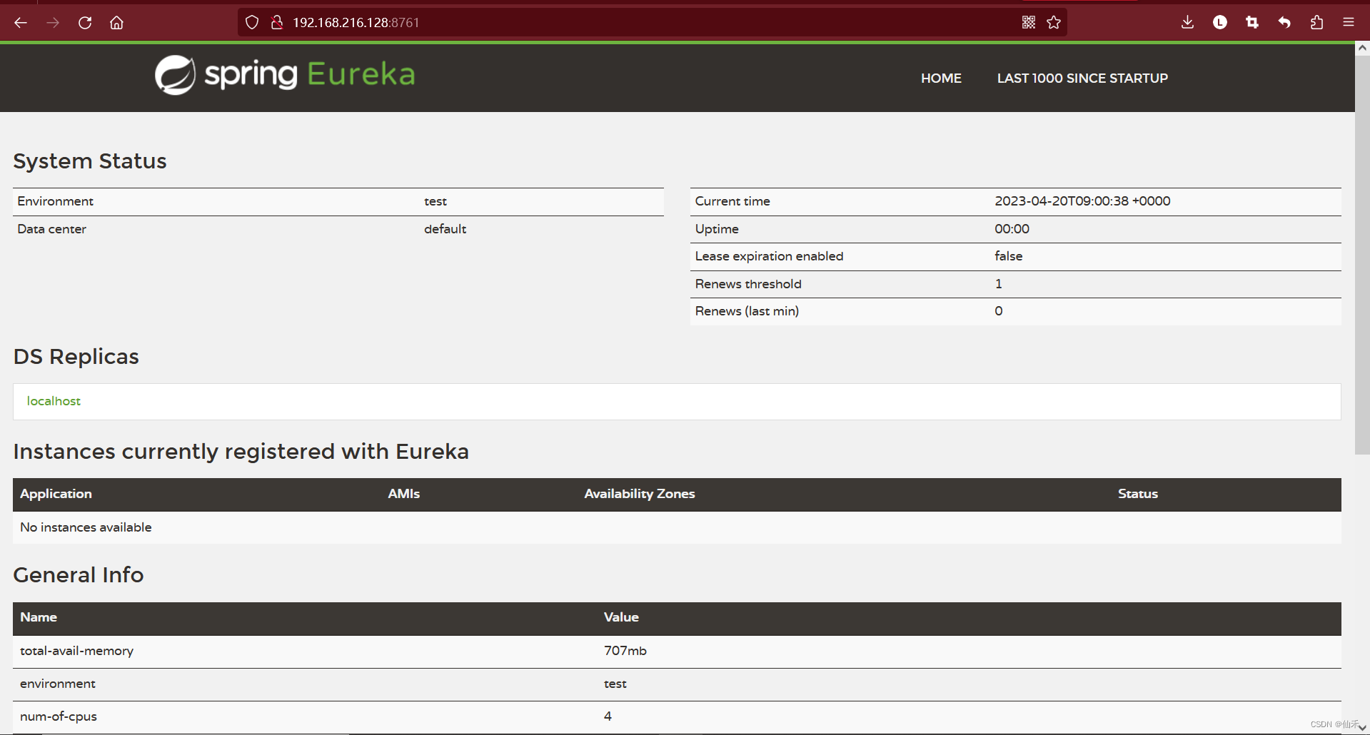 Docker镜像部署Eureka_docker安装eureka-CSDN博客