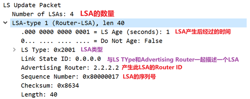 OSPFv3报文讲解（与OSPFv2的区别）_ospfv2和ospfv3认证区别-CSDN博客