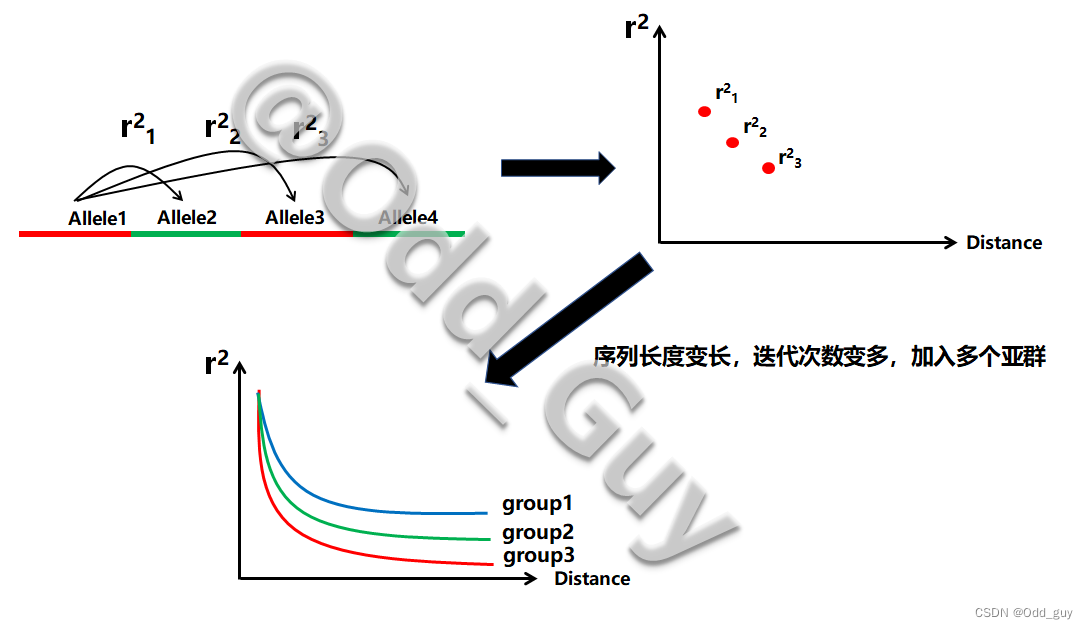 连锁不平衡及LD decay analysis-CSDN博客