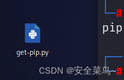 kali安装pip2方法_kali pip2-CSDN博客